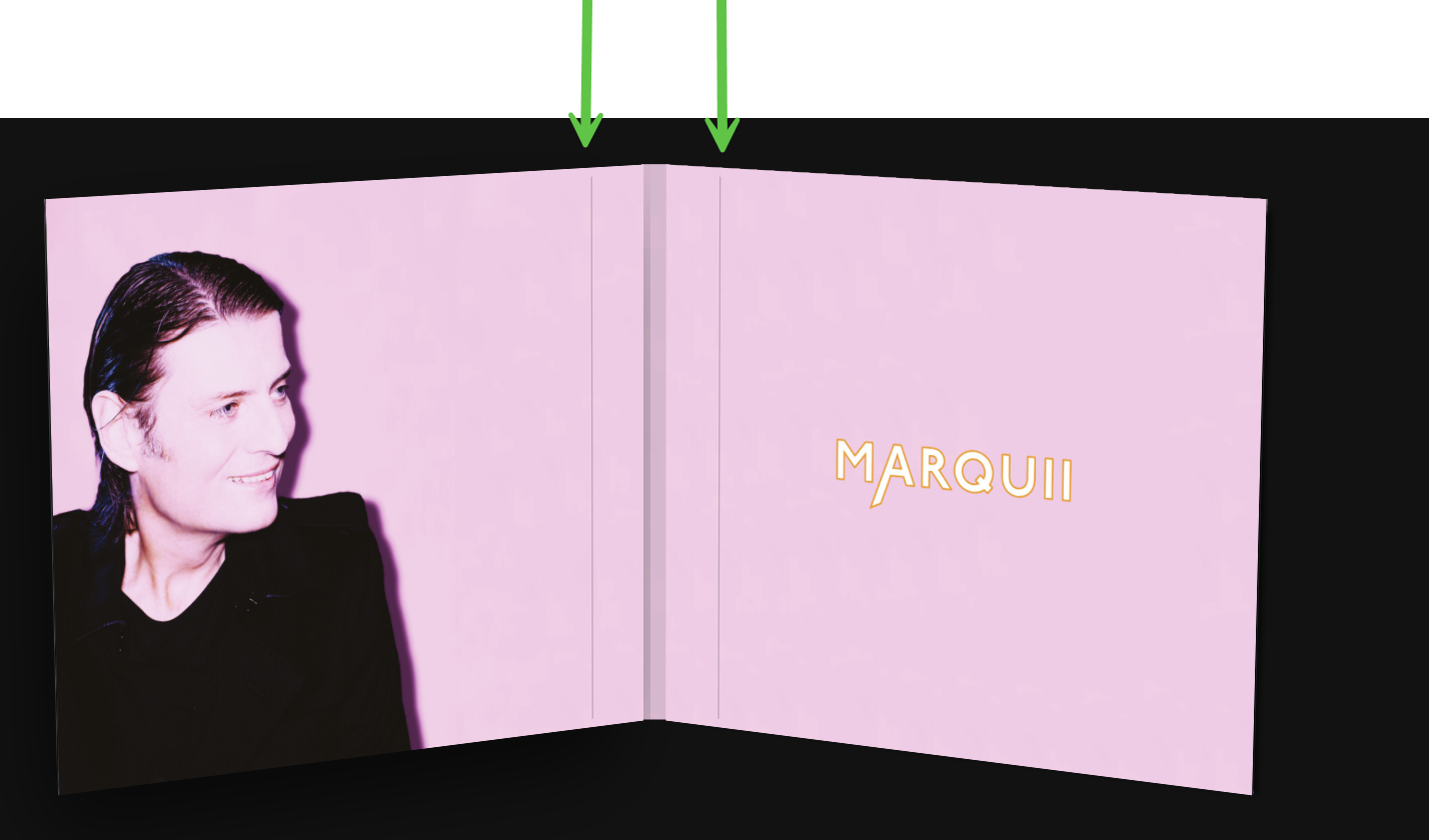 What are the two black/white lines on the inside of the CD Softpack in ...